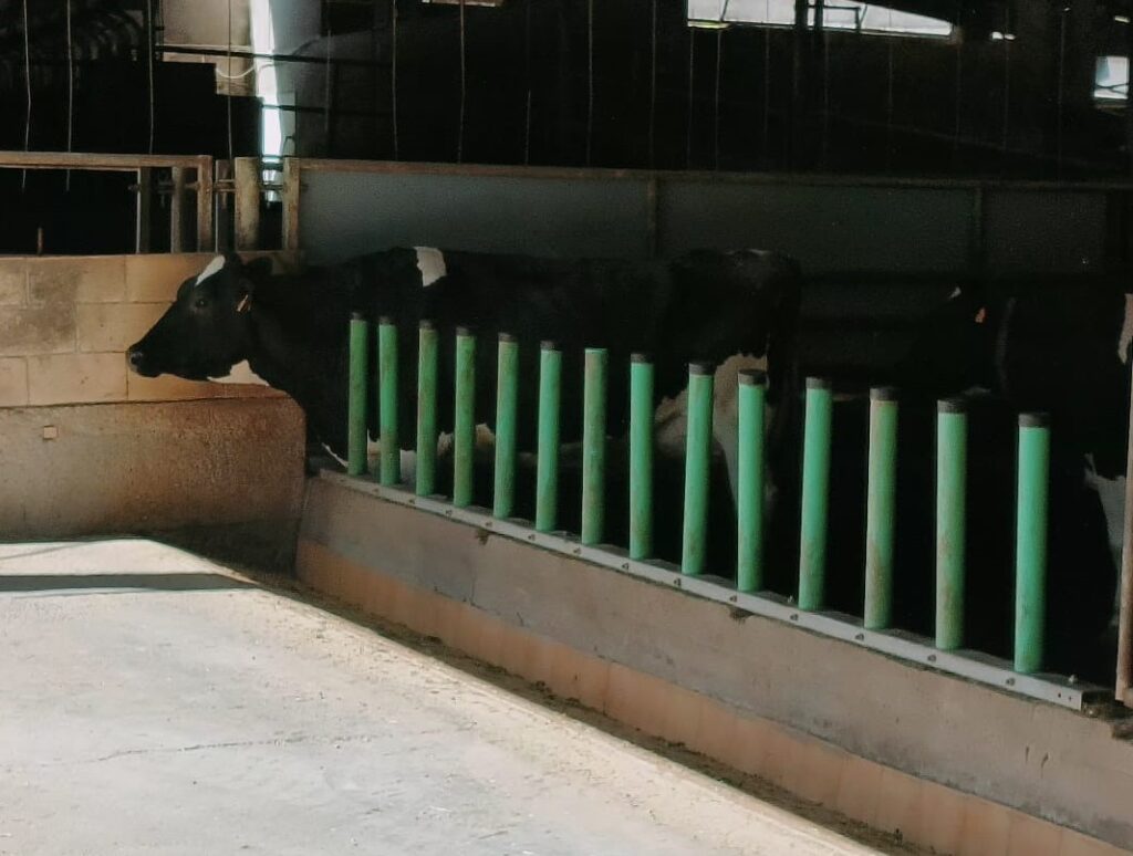 Flexi Feed Barrier - Welcome to O'Donnell Engineering