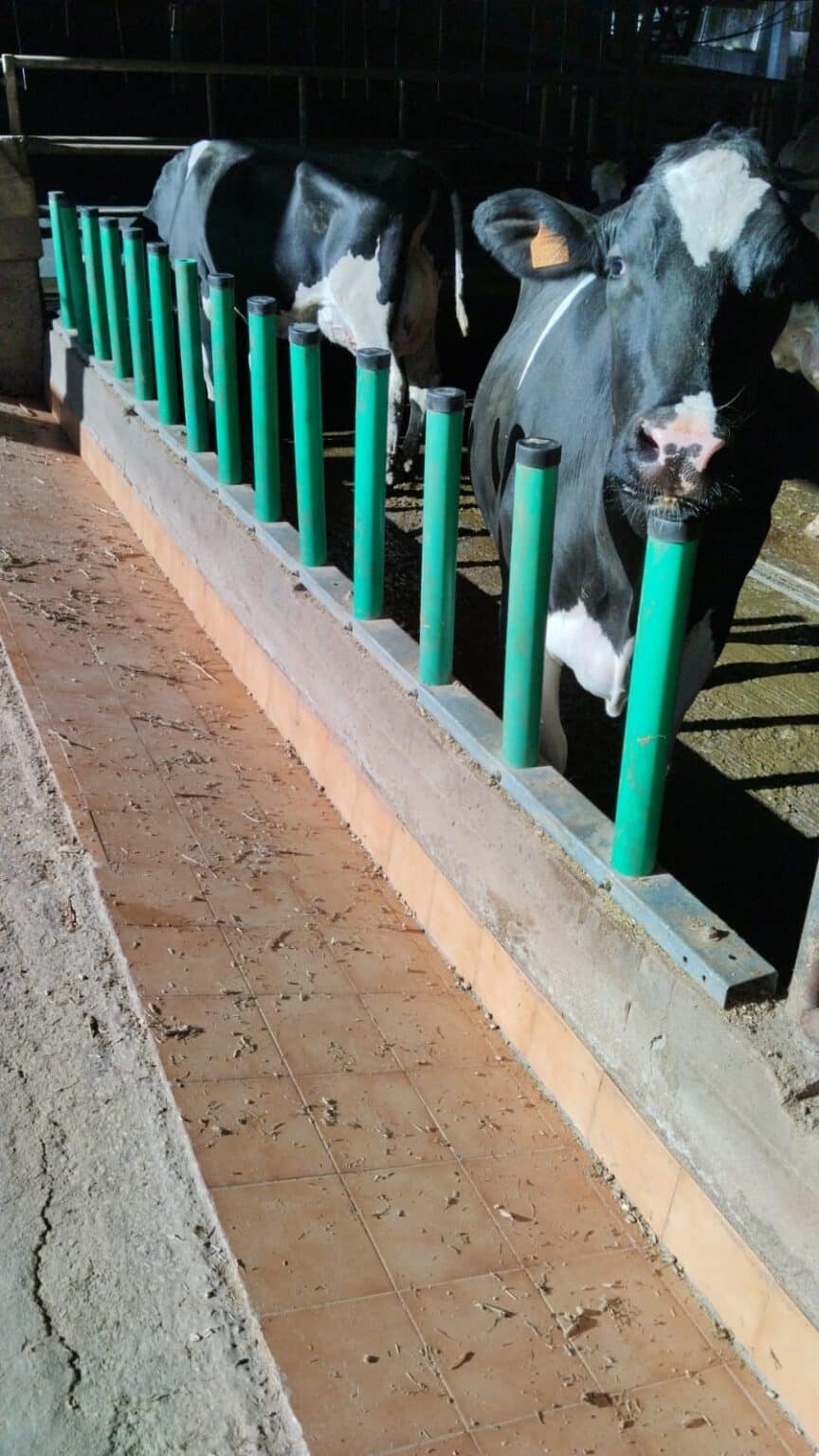 Flexi Feed Barrier - Welcome to O'Donnell Engineering